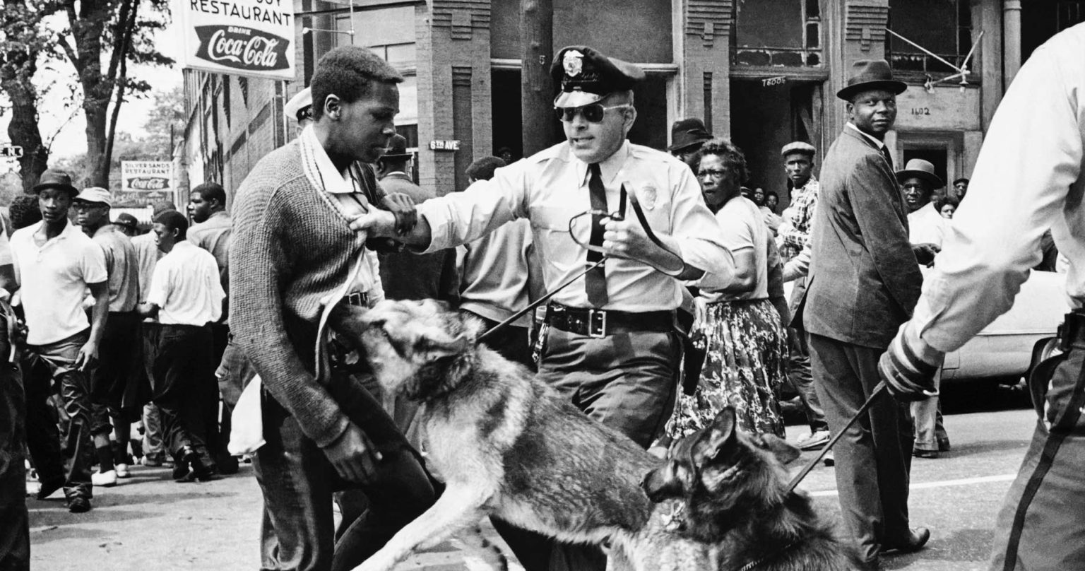 Prison Attack Dogs Have Attacked Hundreds of Incarcerated People and Staff